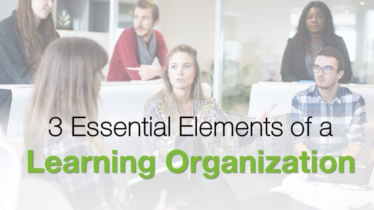 3 Essential Elements of a Learning Organization - Michael Timms
